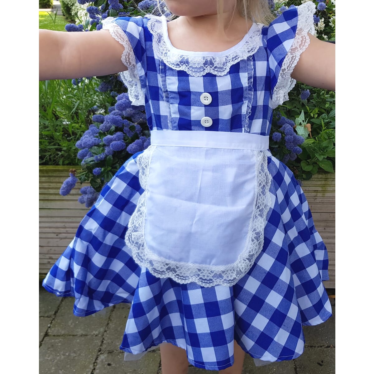 Hire Blue Checked Dress from Costume Source | Ballet dance costume for hire